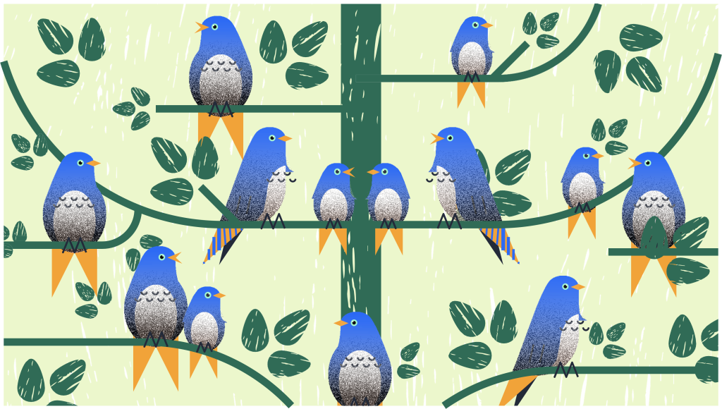 VIDEO P.I.P.P.I. – Pippi